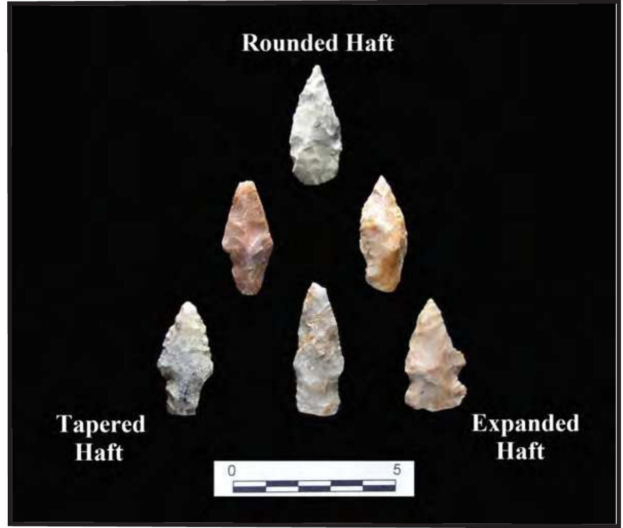 Projectile points from montevallo phase sites showing the