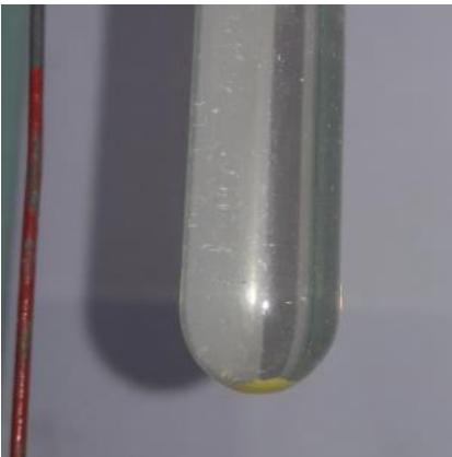 Confirmation of bioethanol by iodoform test the distilled