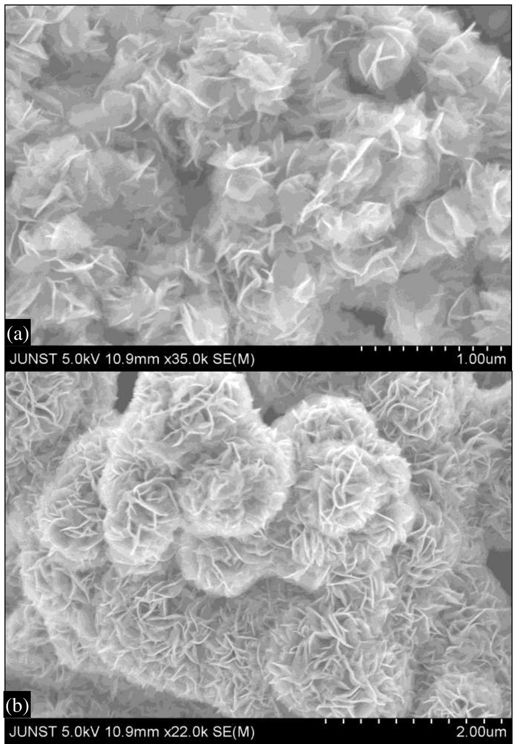 (a), (b) fe-sem image of mos2 nanosheets.