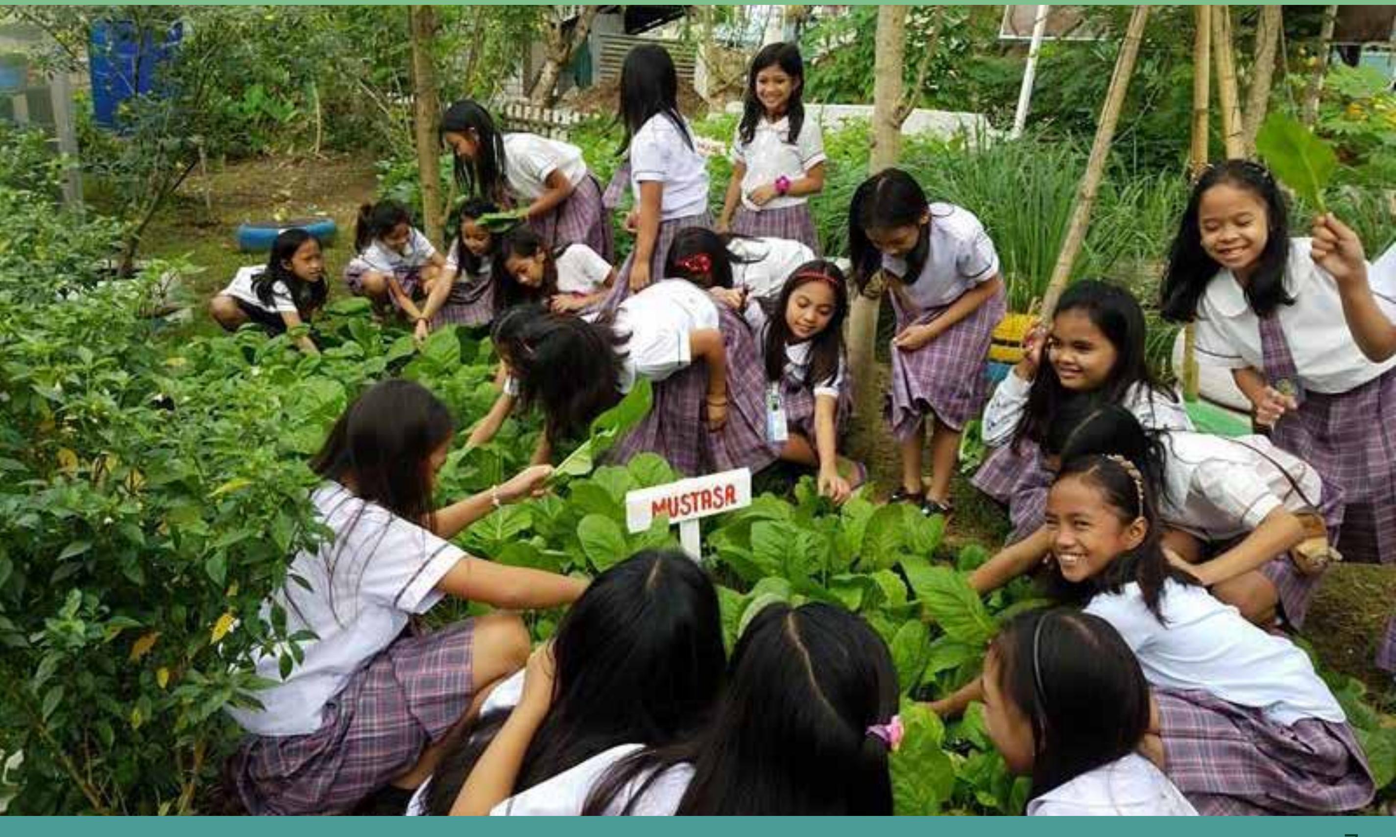 (PDF) The School-Plus-Home Gardens Project in the Philippines: A ...