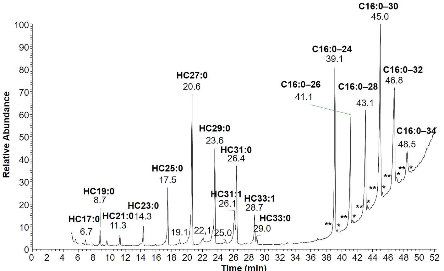 Typical gc-ms chromatogram of beeswax odd number