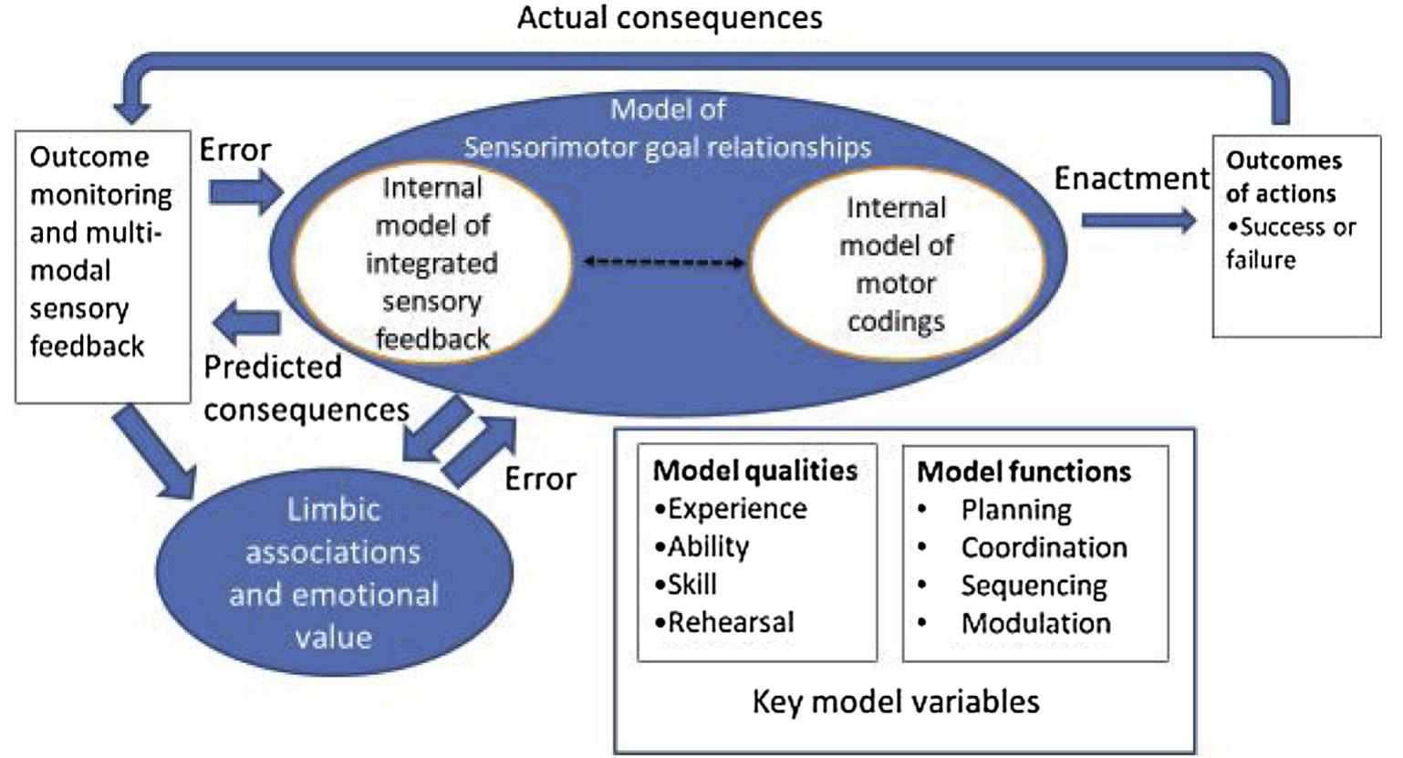 Schema of components of internal model of sensorimotor