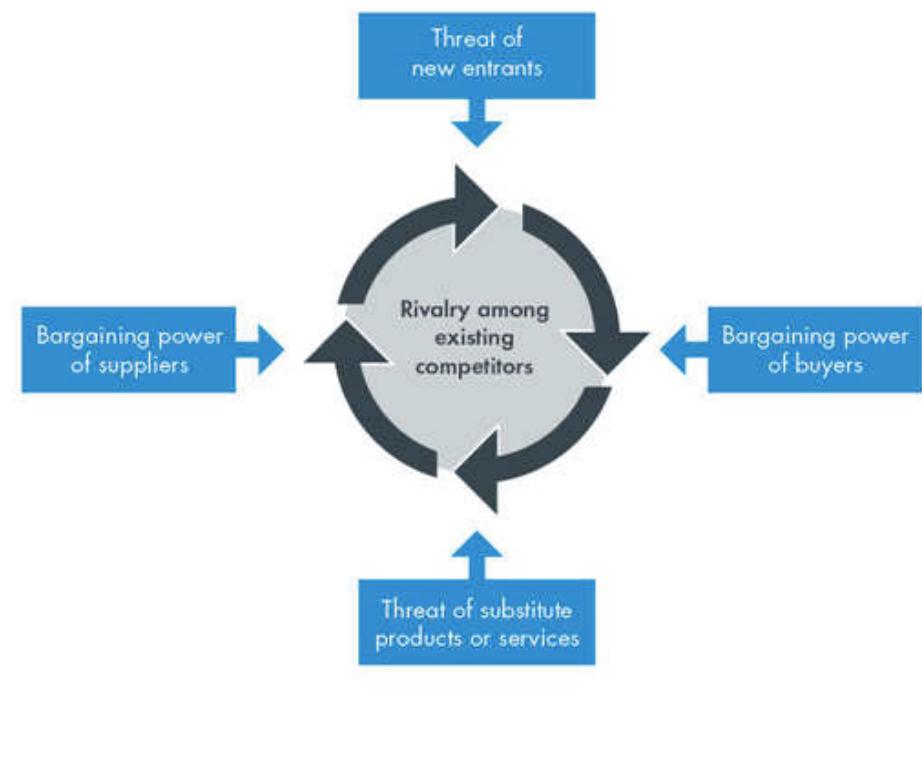 Figure 28 - THE APPLICATION OF GENERIC BALANCED SCORECARD