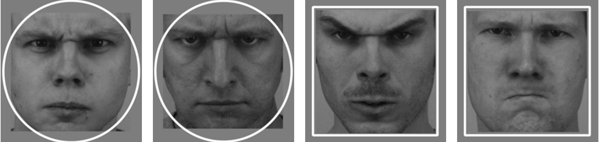 Figure 3 - The affect misattribution procedure: Hot or Not?