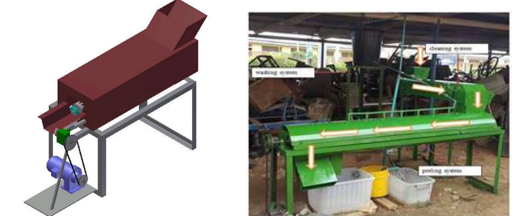 A model of the cassava peeling machine fig. 32: the cassava