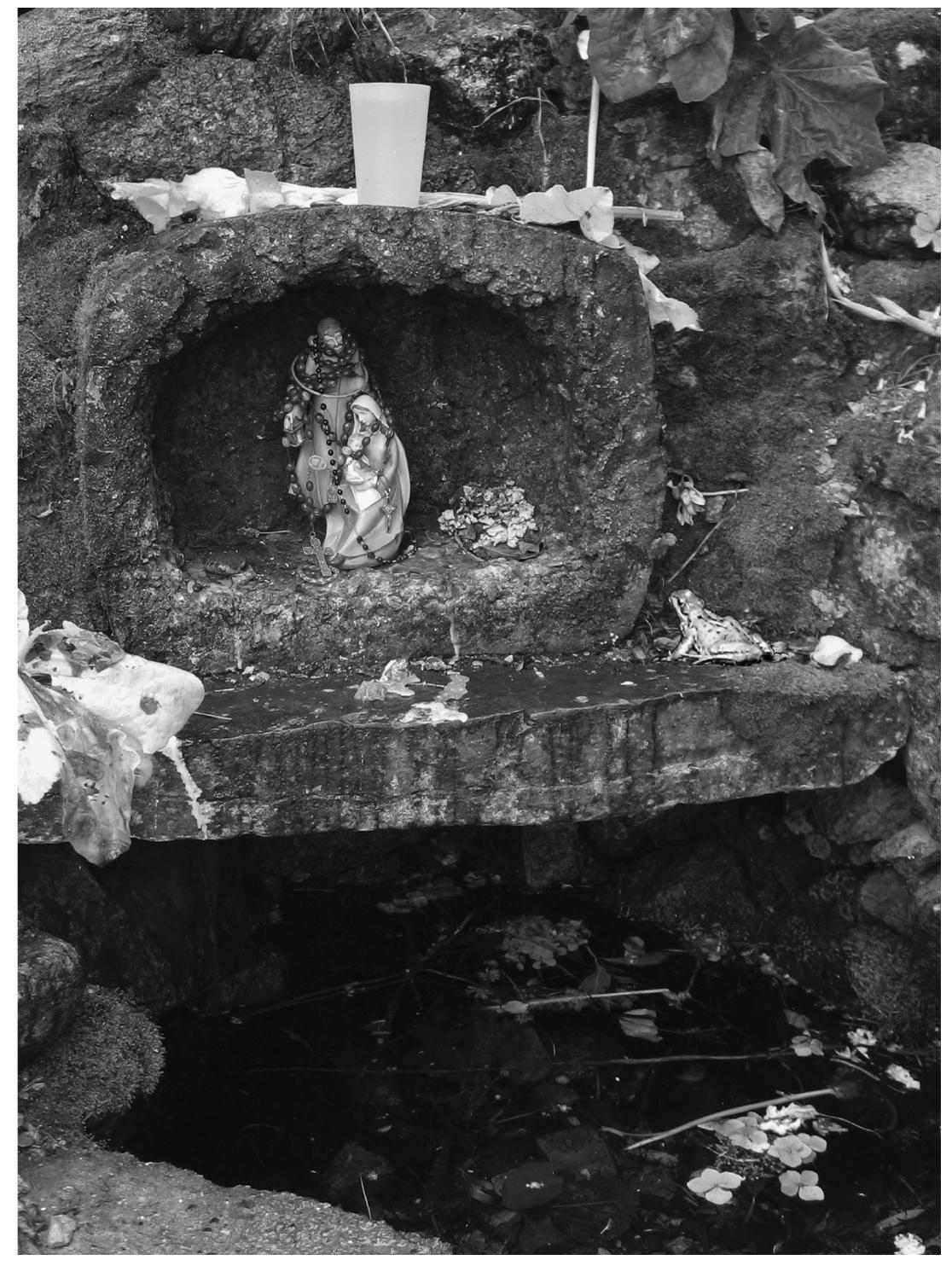 2 ireland’s oldest marian shrine is our lady’s island, co.