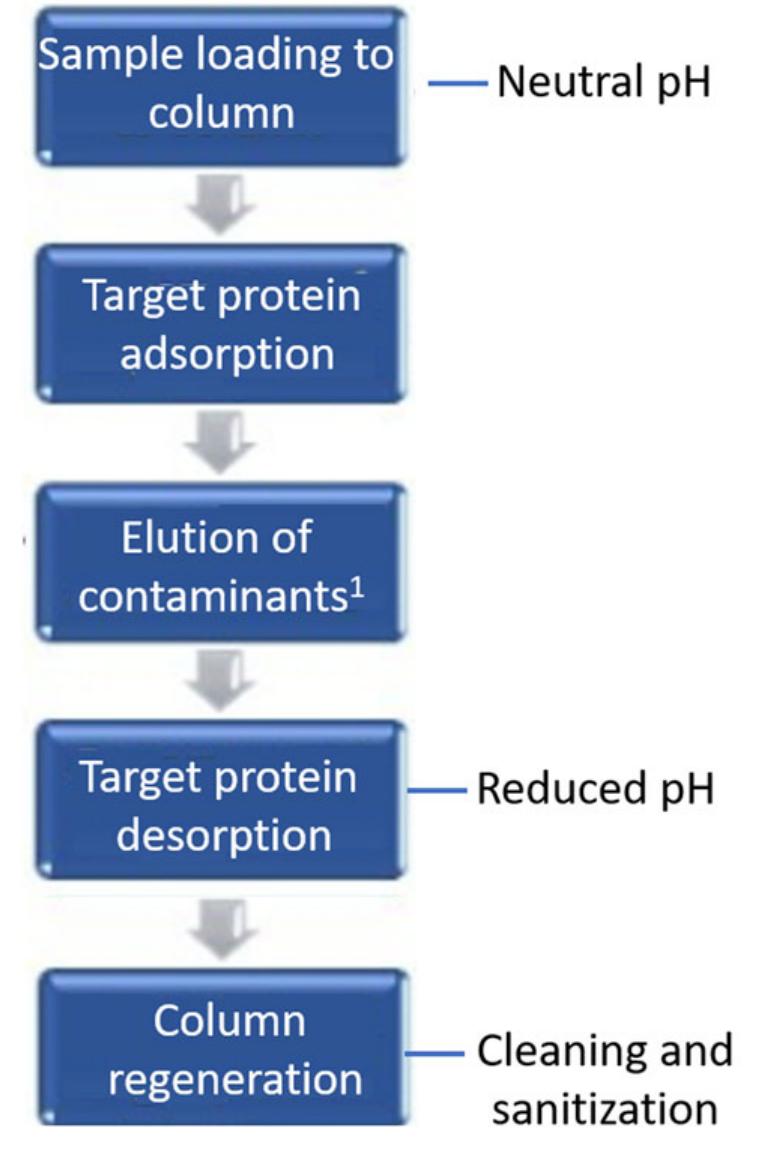 1product isoforms, dna, rna, leached protein a, cell culture