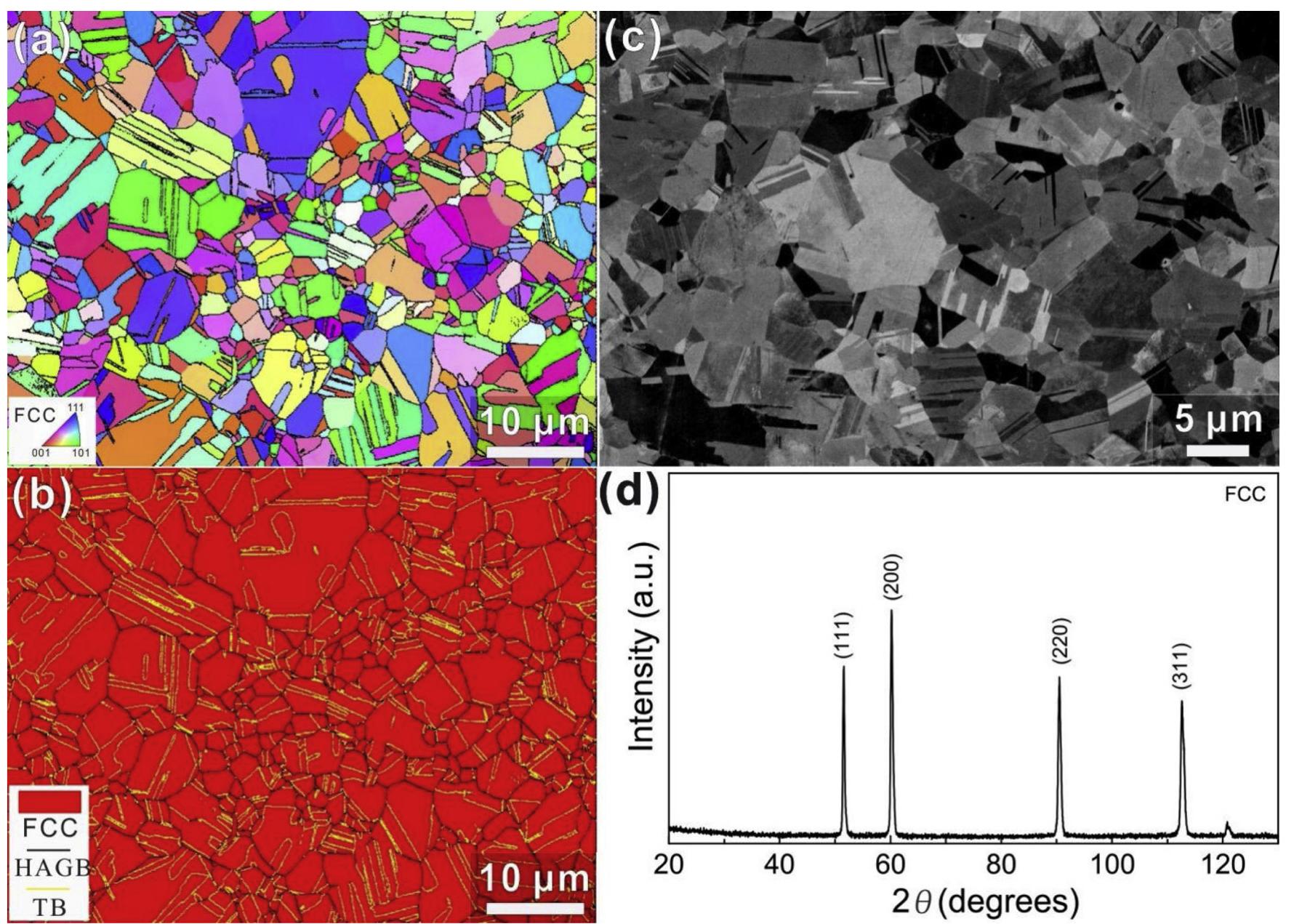 Recrystallization microstructure of the cocrni mea after
