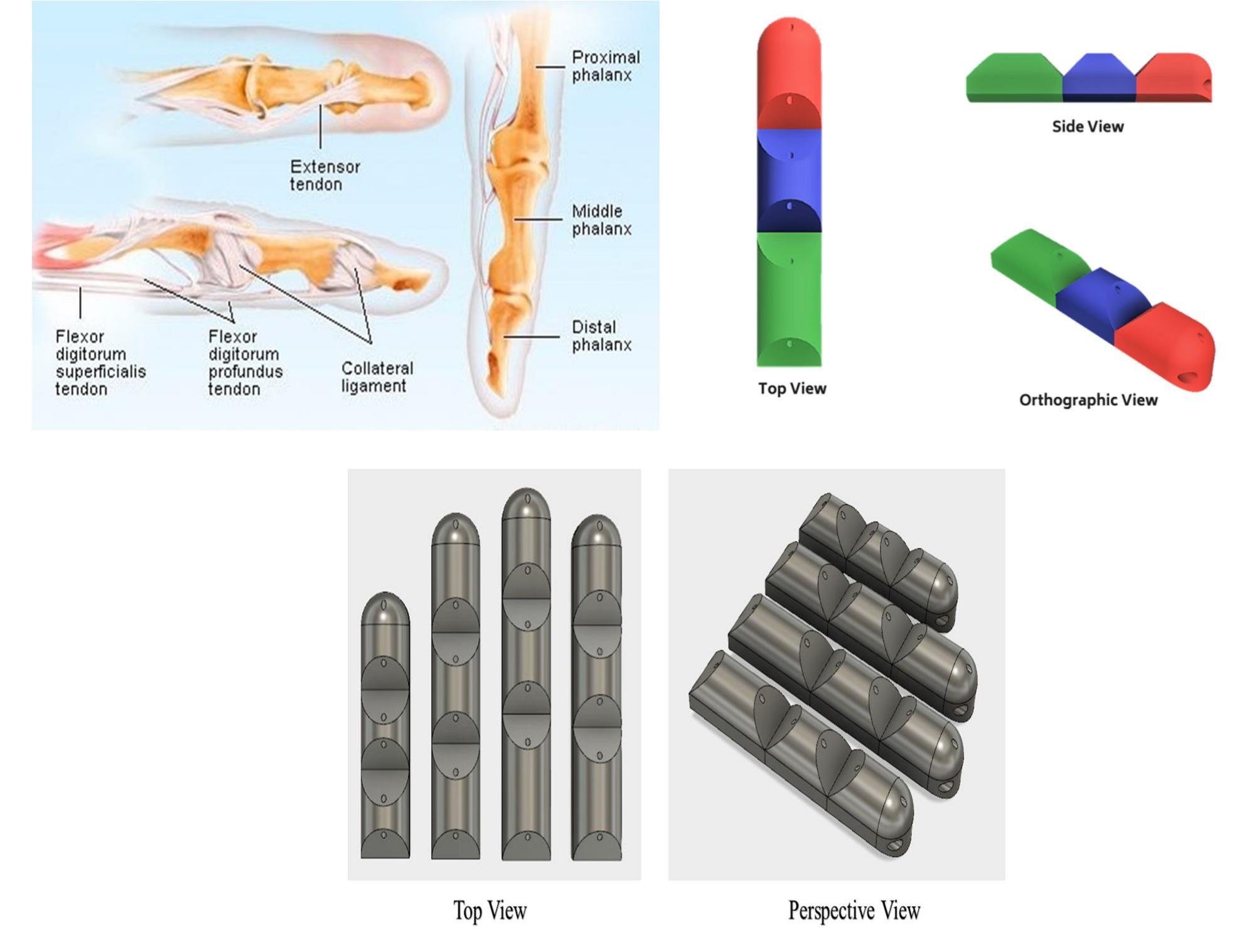 He mechanism of the fingers of the robot arm can be achieved