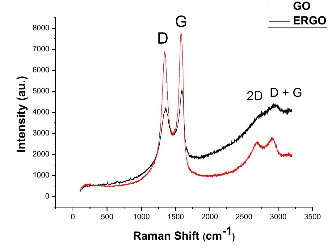Raman spectra of go, and ergo groups, showing increased