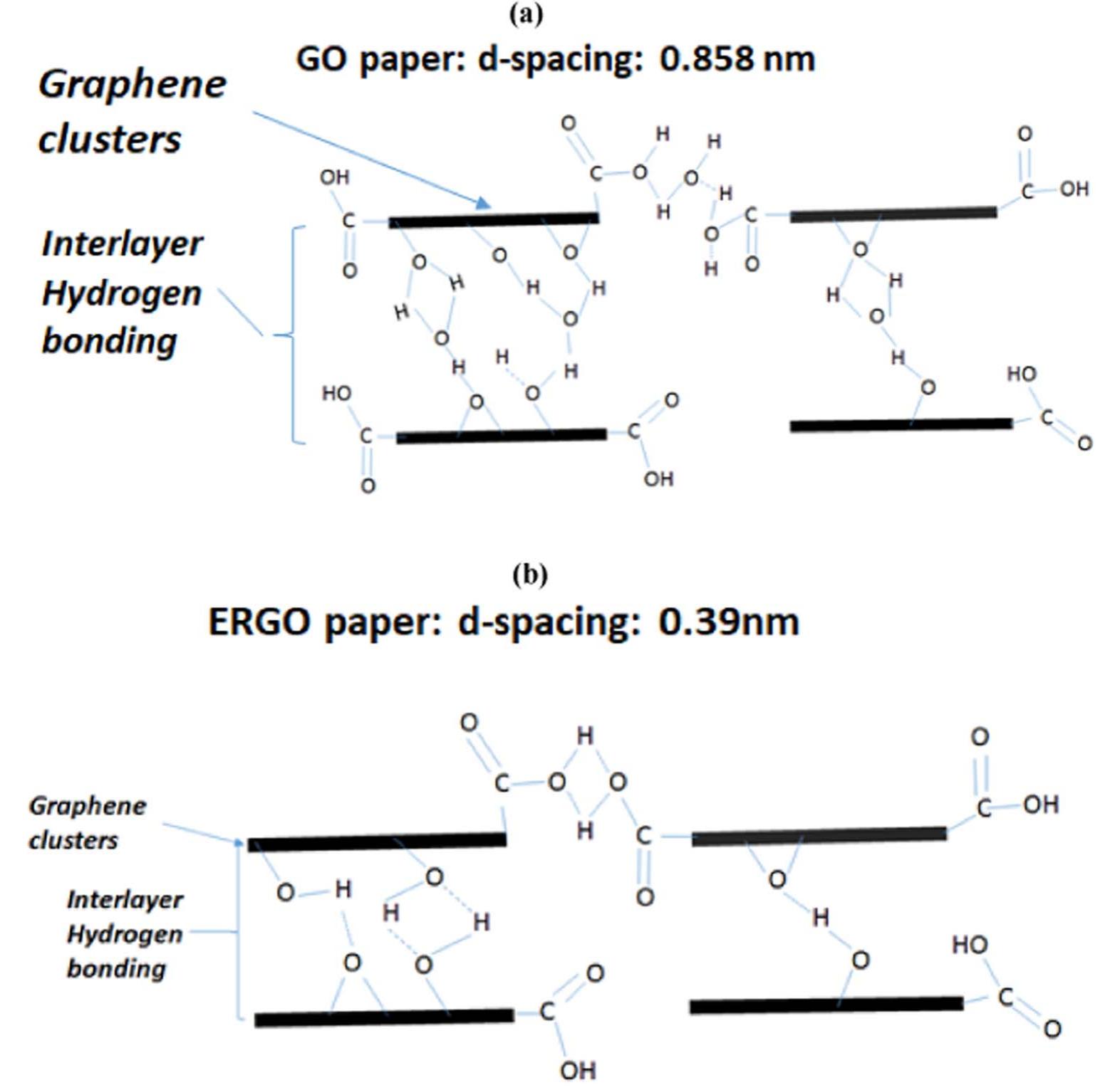 (a) go and (b) ergo graphene papers schematic showing