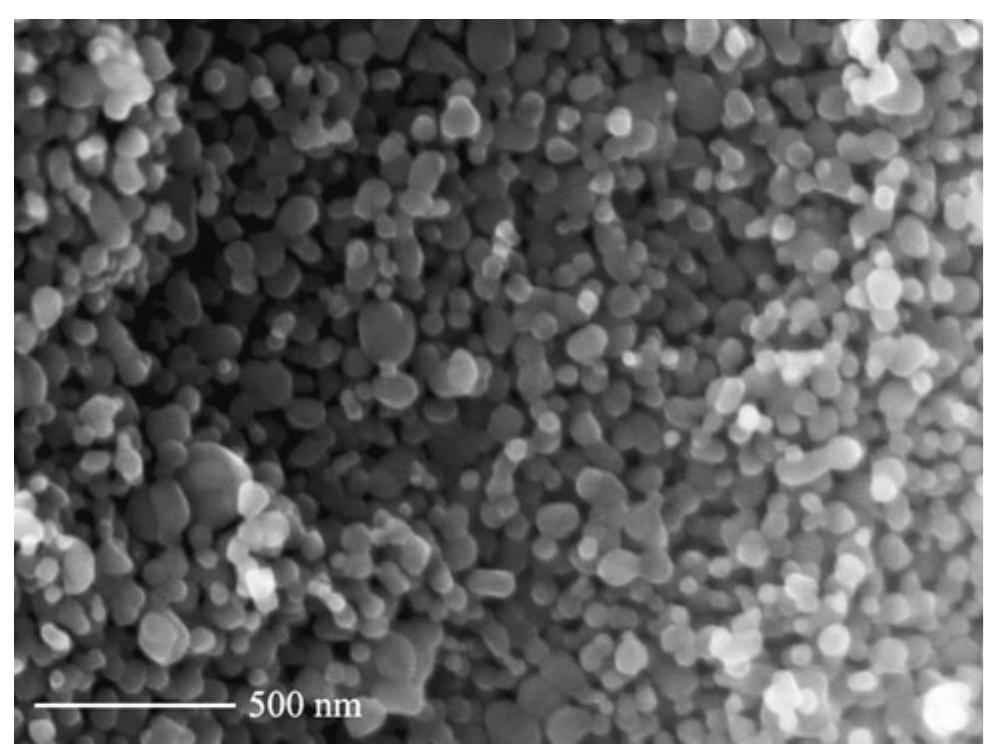 Scanning electron microscope (sem) image of nanoparticle