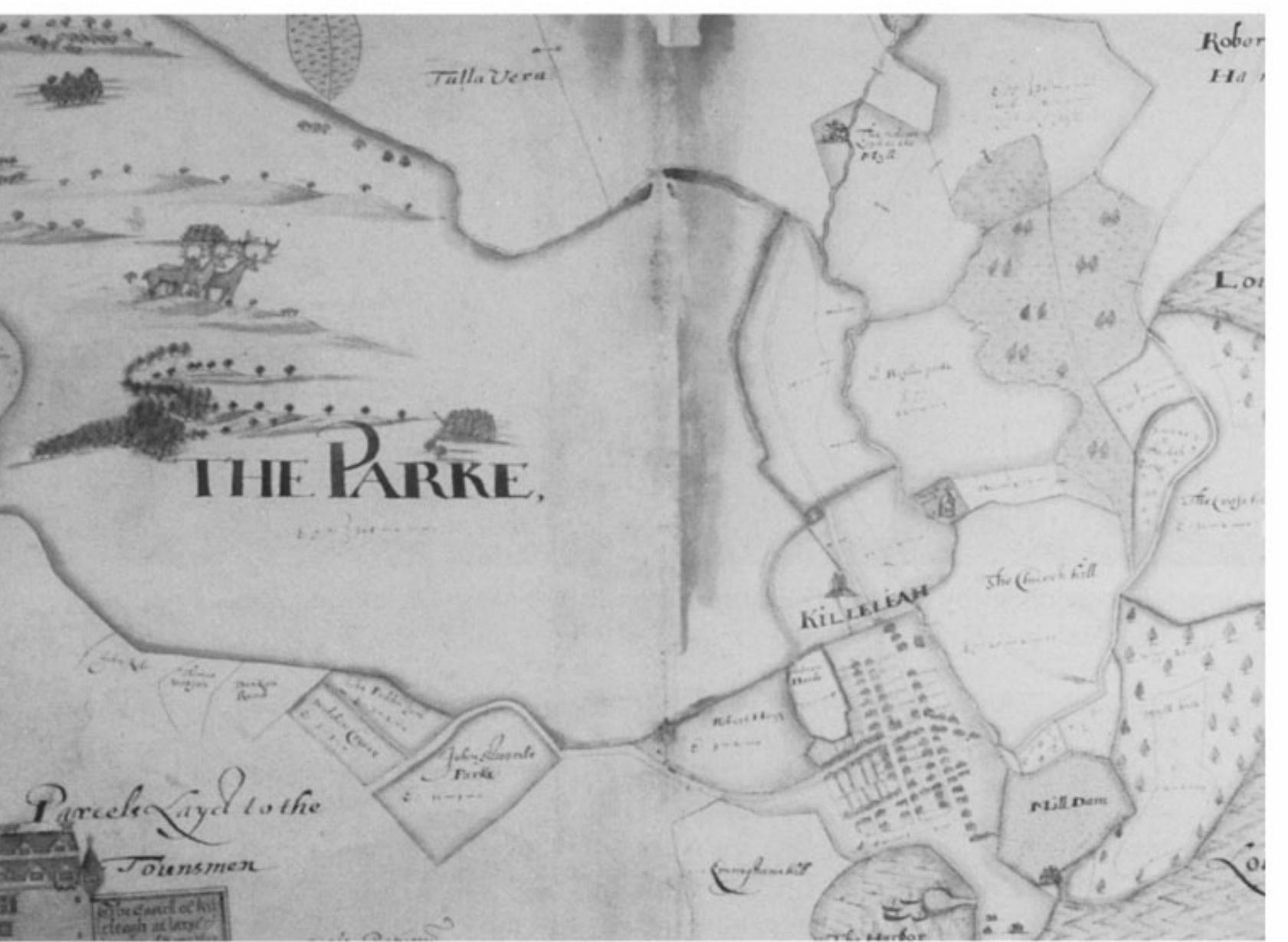 Raven’s 1625 map of the killyleagh demesne, co. down,