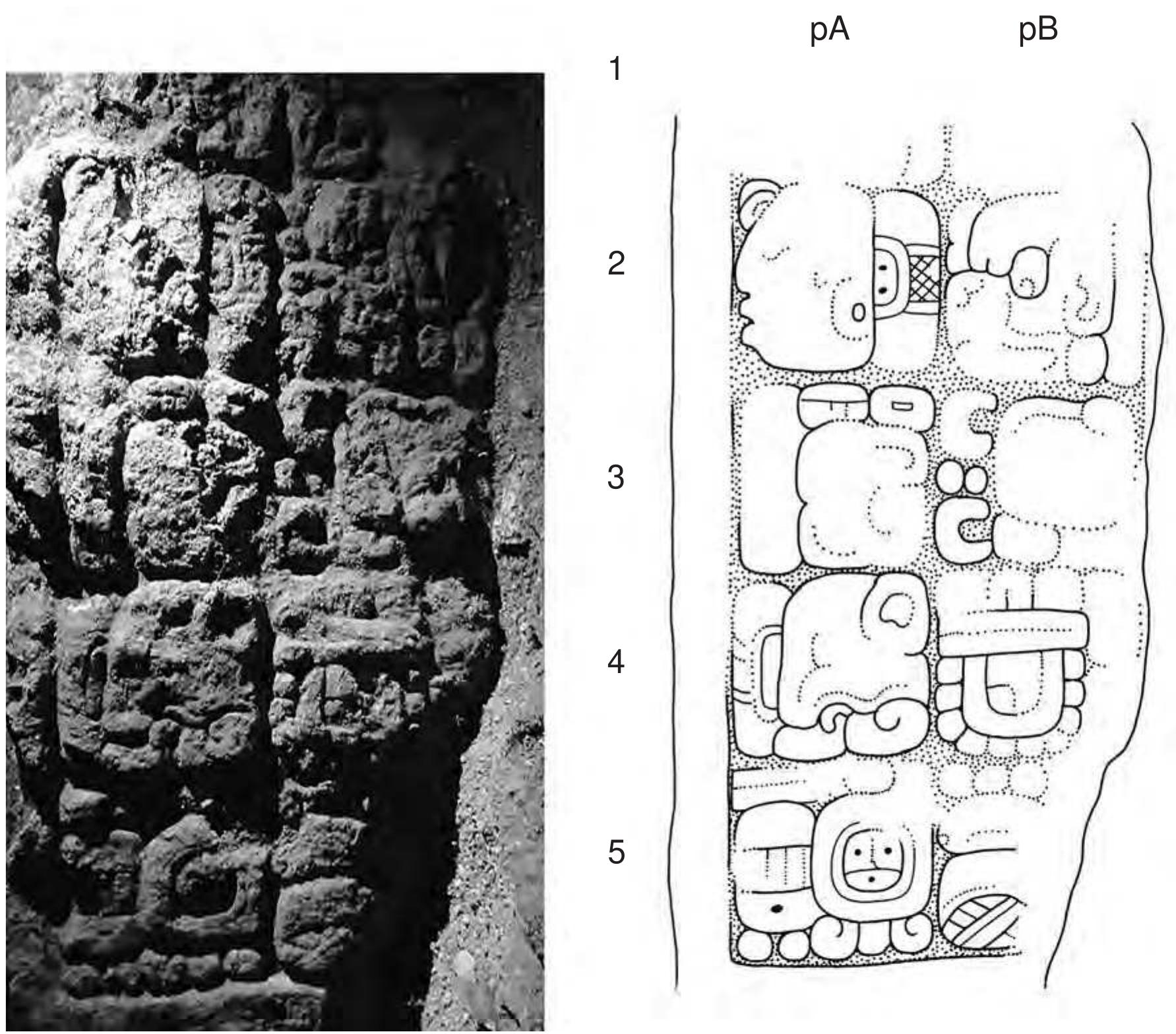 Stela 30 (photograph by franco d. rossi, drawing by david