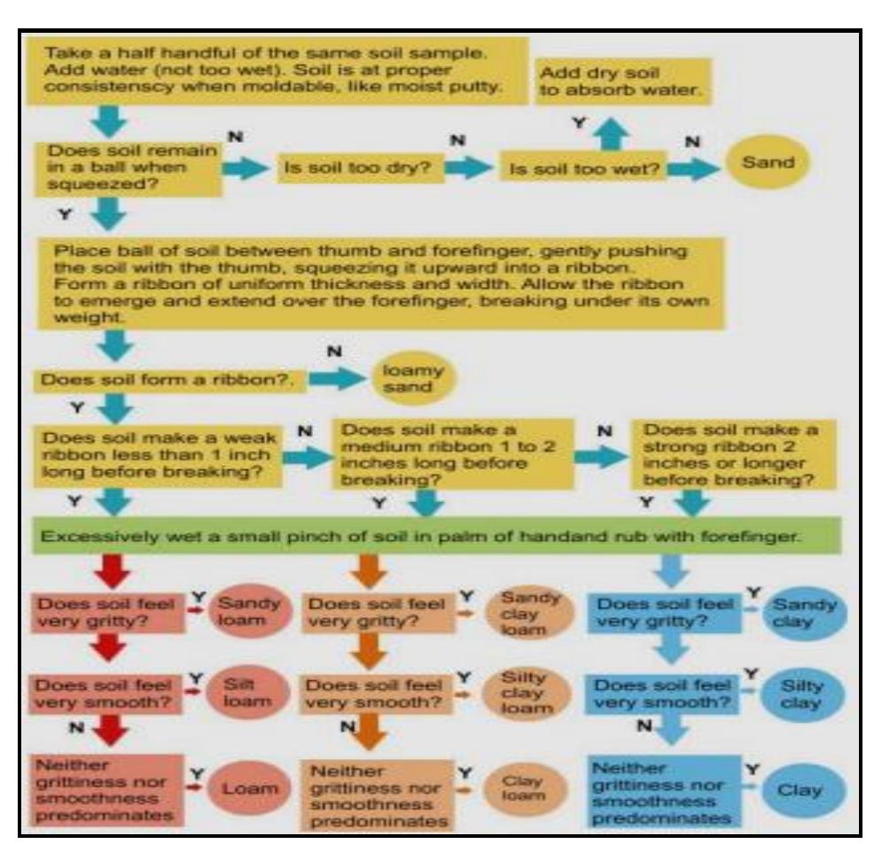 Soil texture feel flow chart