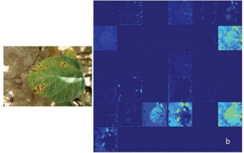 Visualization of feature maps in the first activation layer