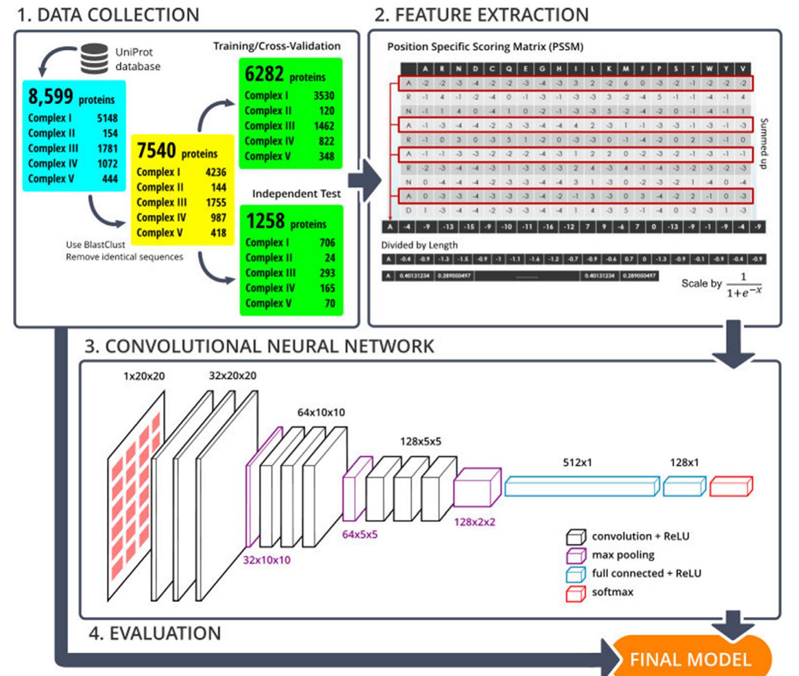 The flowchart for classifying electron transport proteins