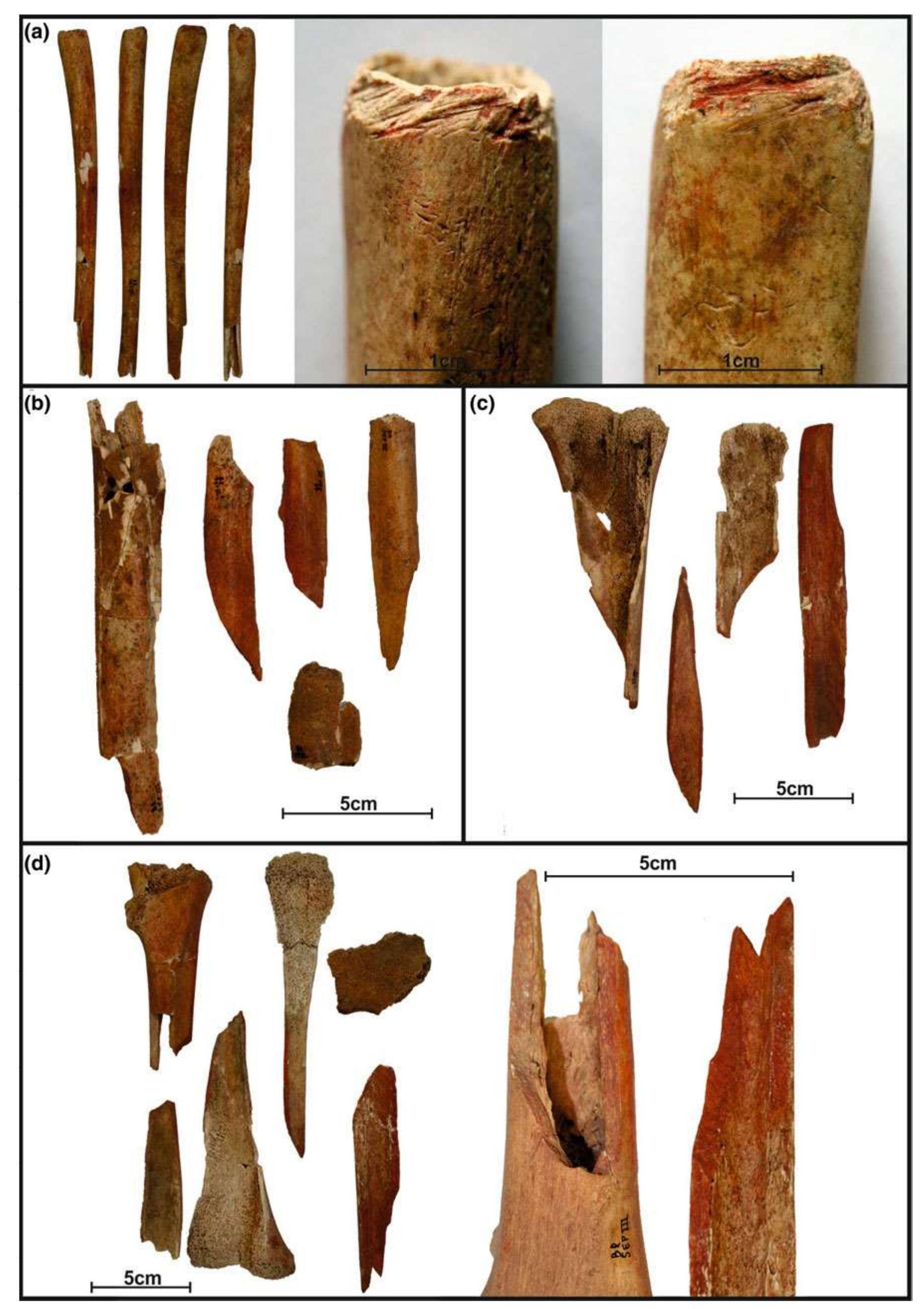 Burial 3 from lapa das boleiras. a the left ulna had its