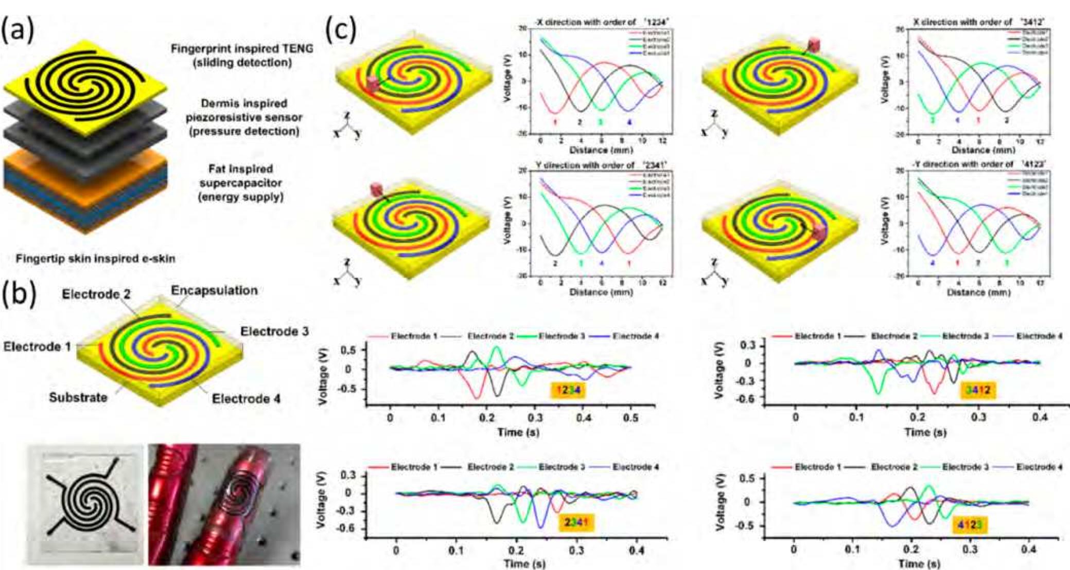 Highly biomimetic electronic skin. (a) schematic