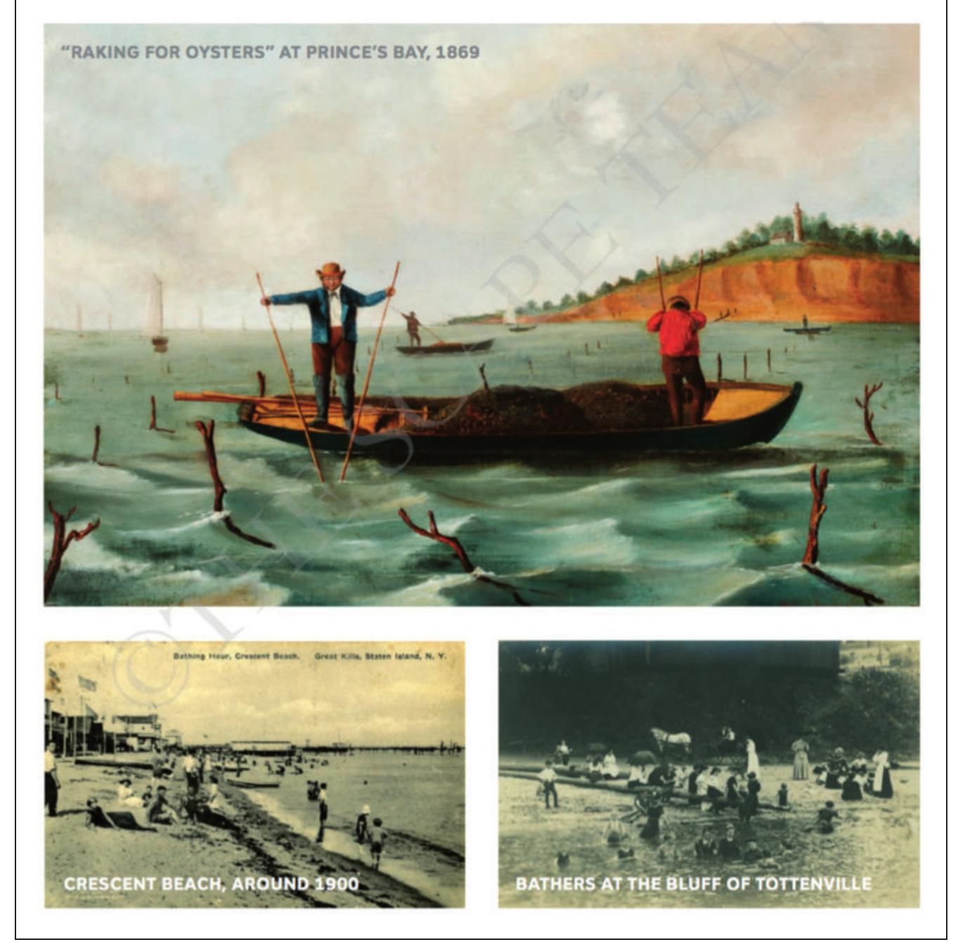 (PDF) Making nature into infrastructure: The construction of oysters as ...