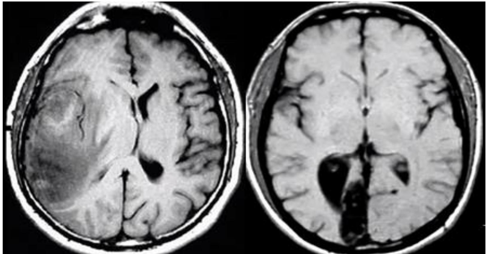 Figure 4 - O Básico que Todo o Generalista deve saber sobre