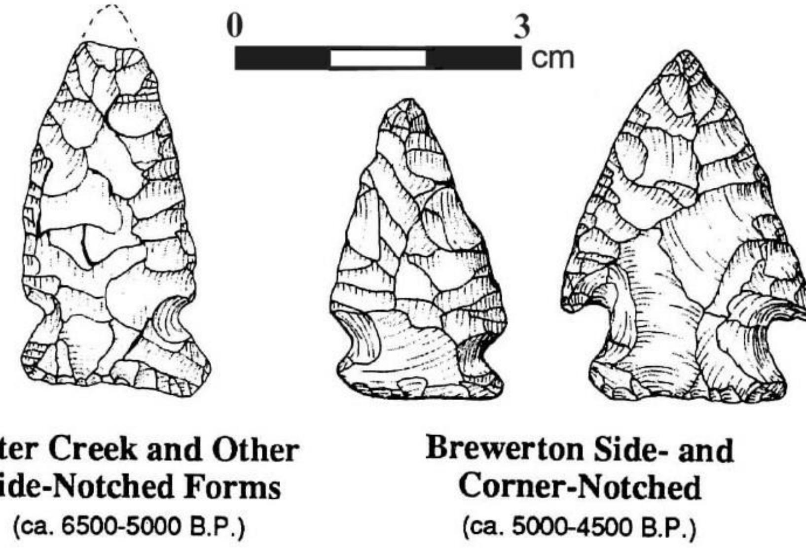 Later middle archaic point types. modified from ellis et al.