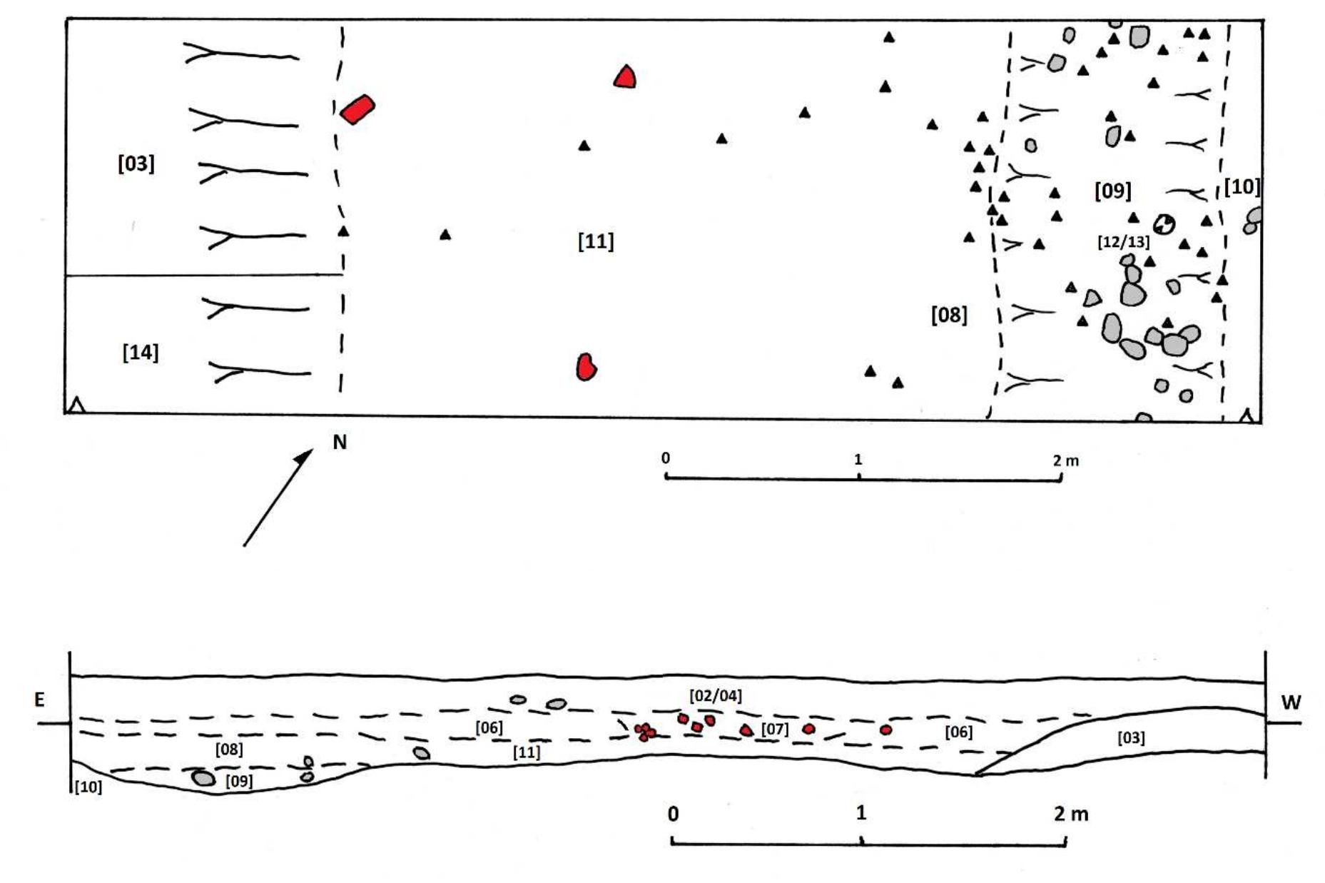 New copse 2019: plan of trench 2, and section of south wall