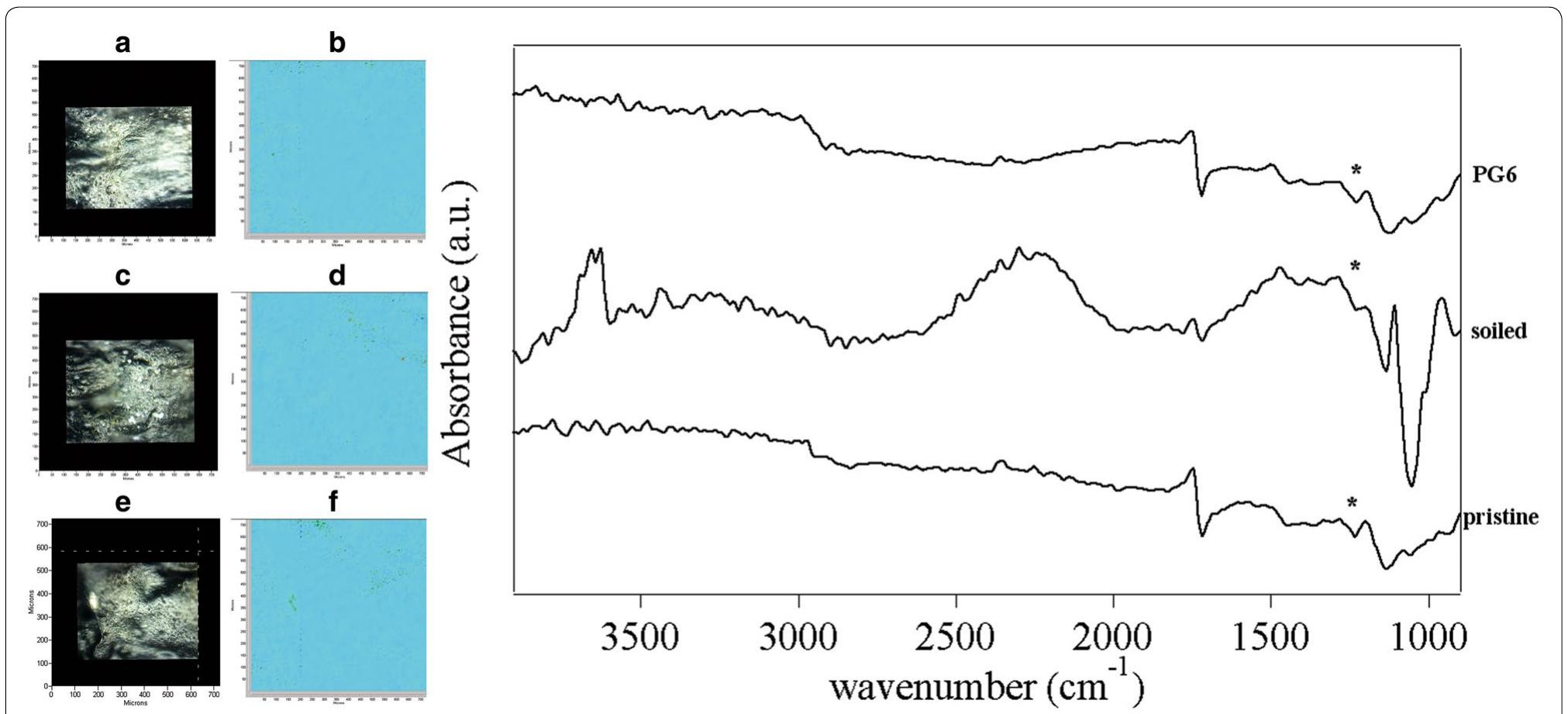 Ftir-2d imaging of the black golden msa paint mock-up,