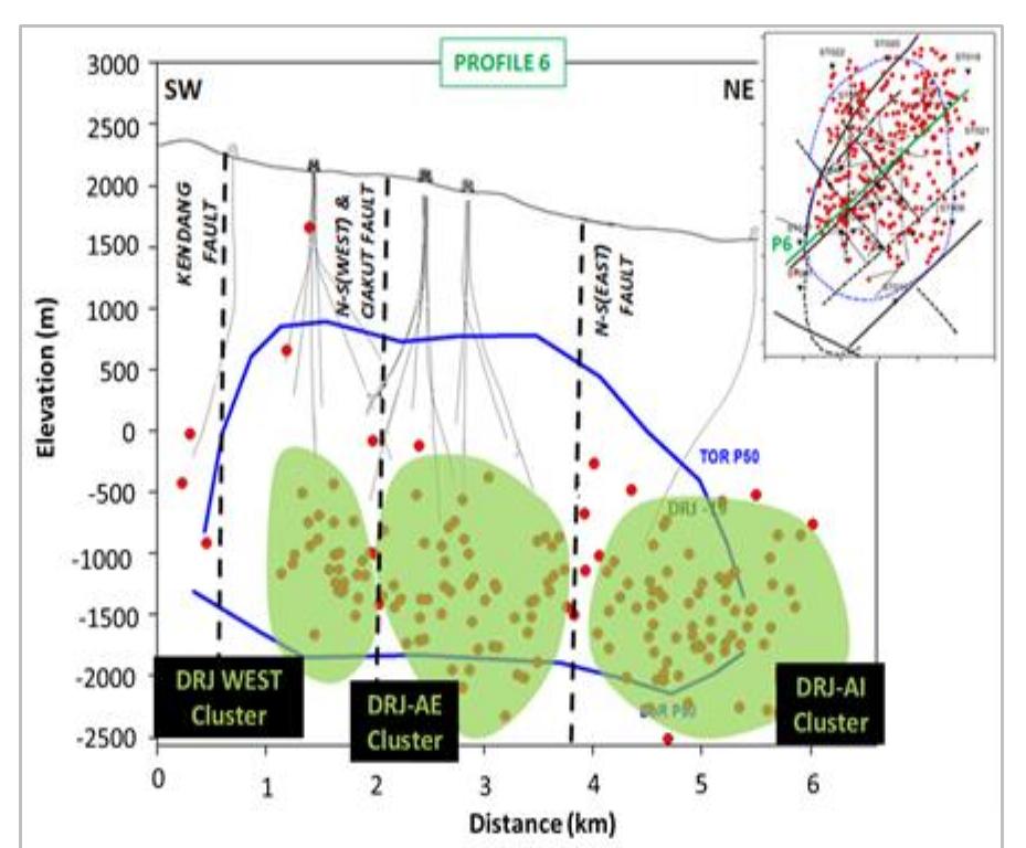 Sw-ne cross-section of darajat field showing the swarms of