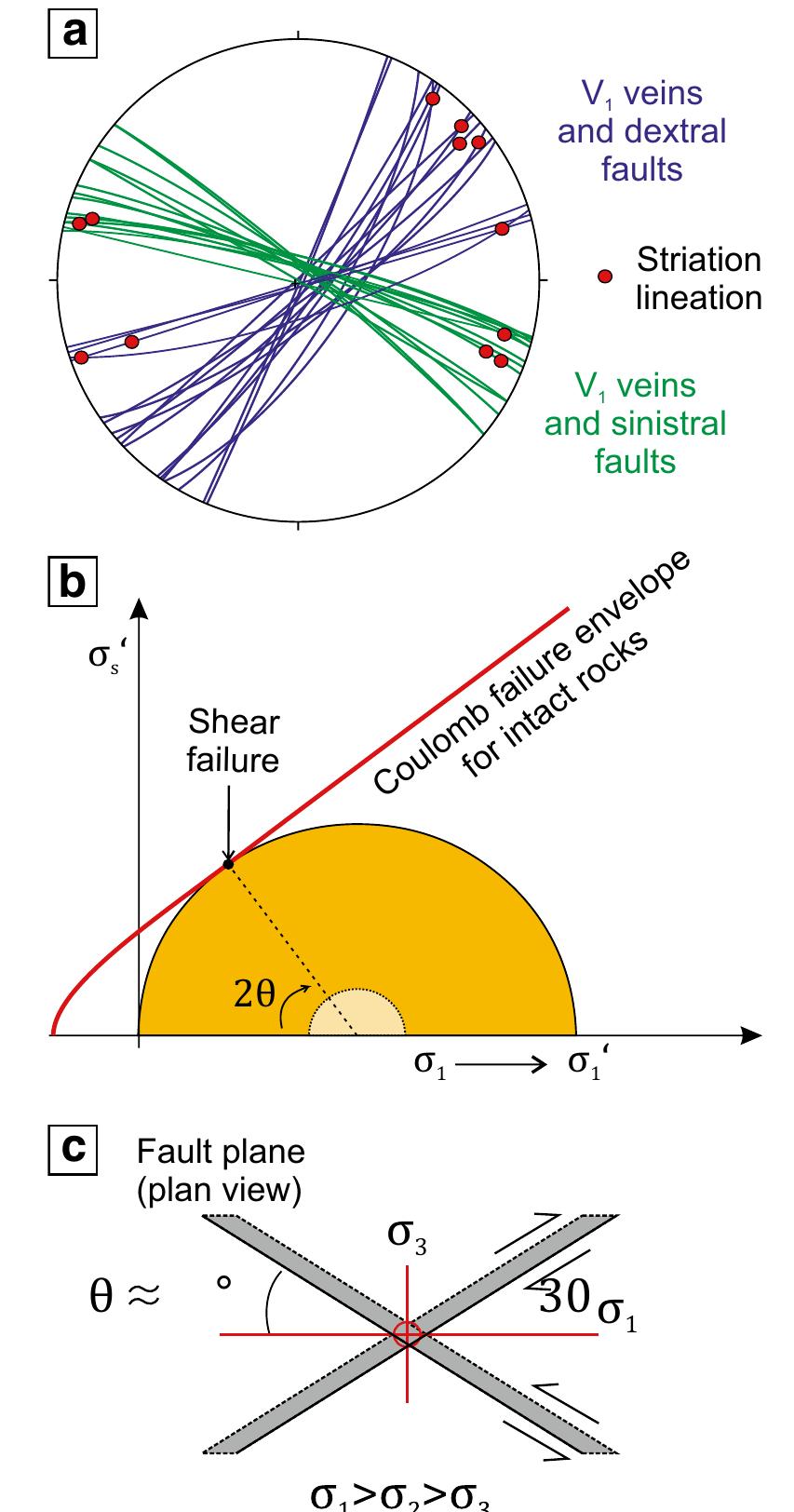 A stereonet of d, strike-slip faults measurements (green and