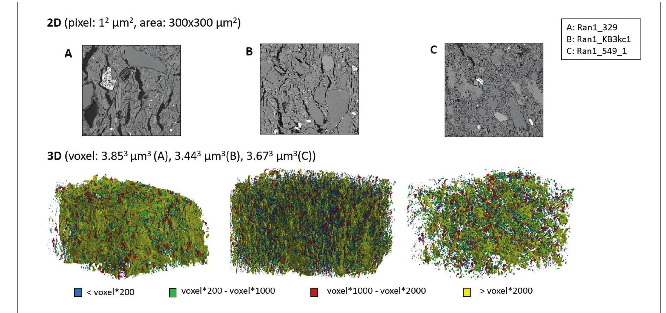 Comparison of the pore topology between 2d (pixel size of 1?