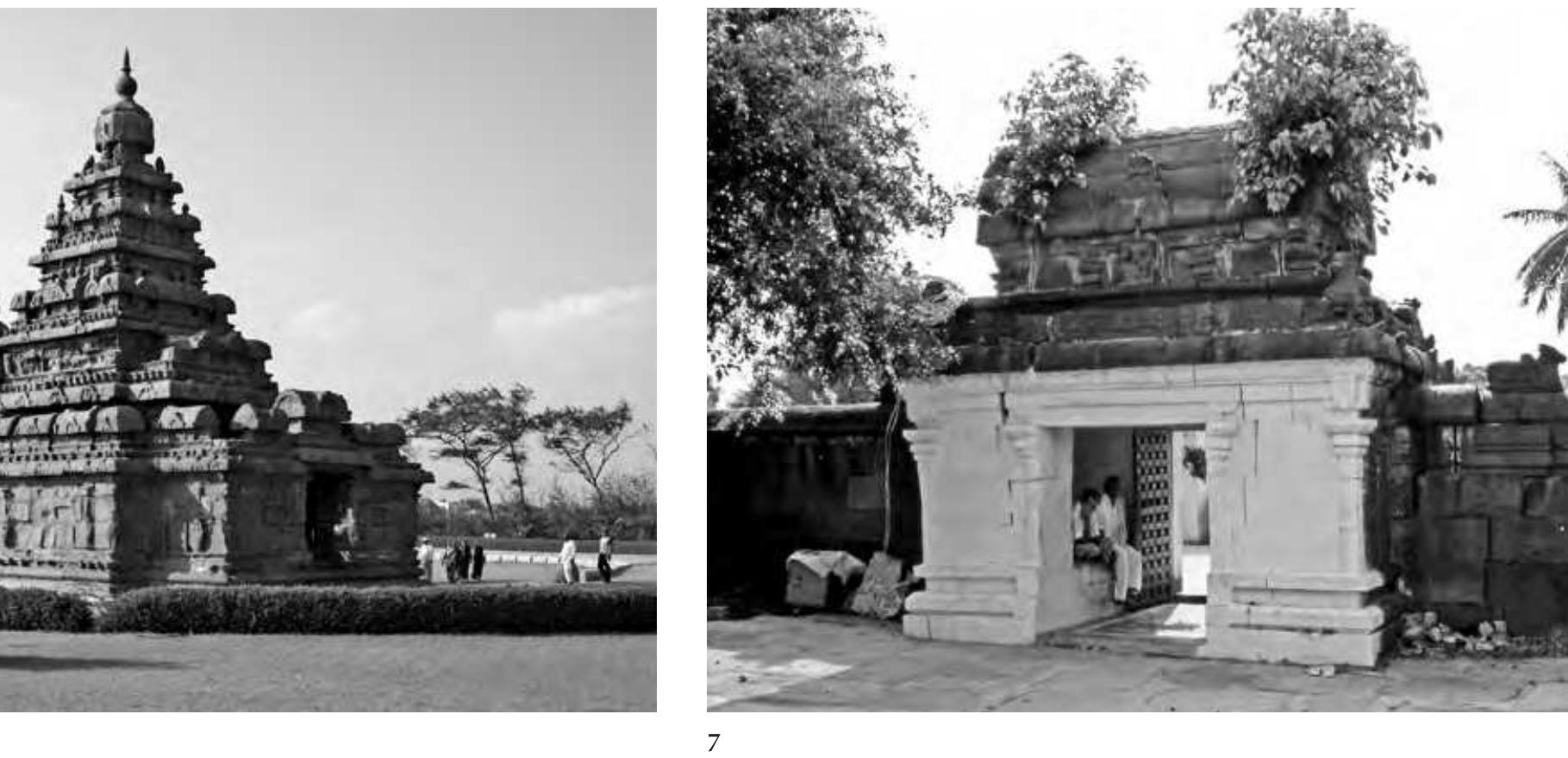 The tamil-andhra border (fig. 7).'° but it was at the