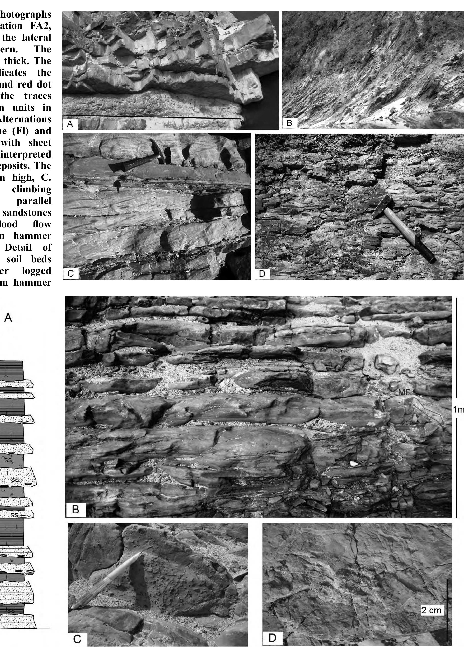 Outcrop photographs of the playa lake facies in facies