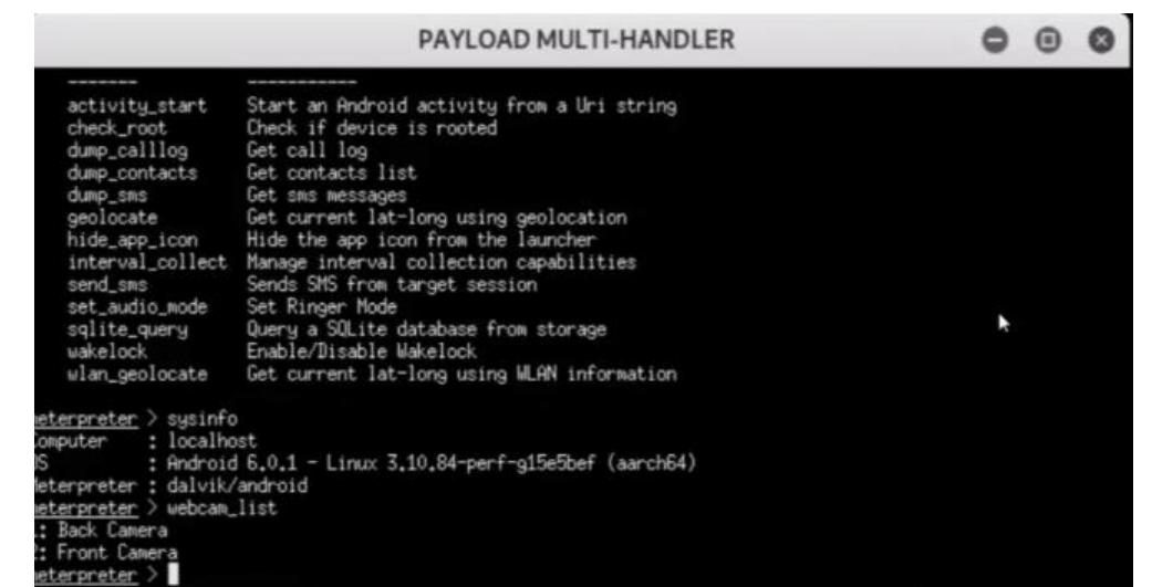 Kali linux terminal showing target system information the