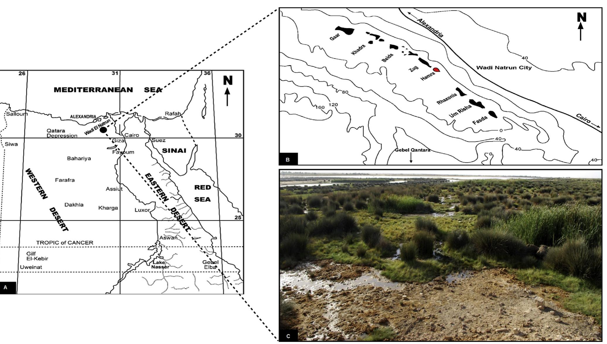 Figure 1 - from Mid-to Late Holocene paleoclimatic changes