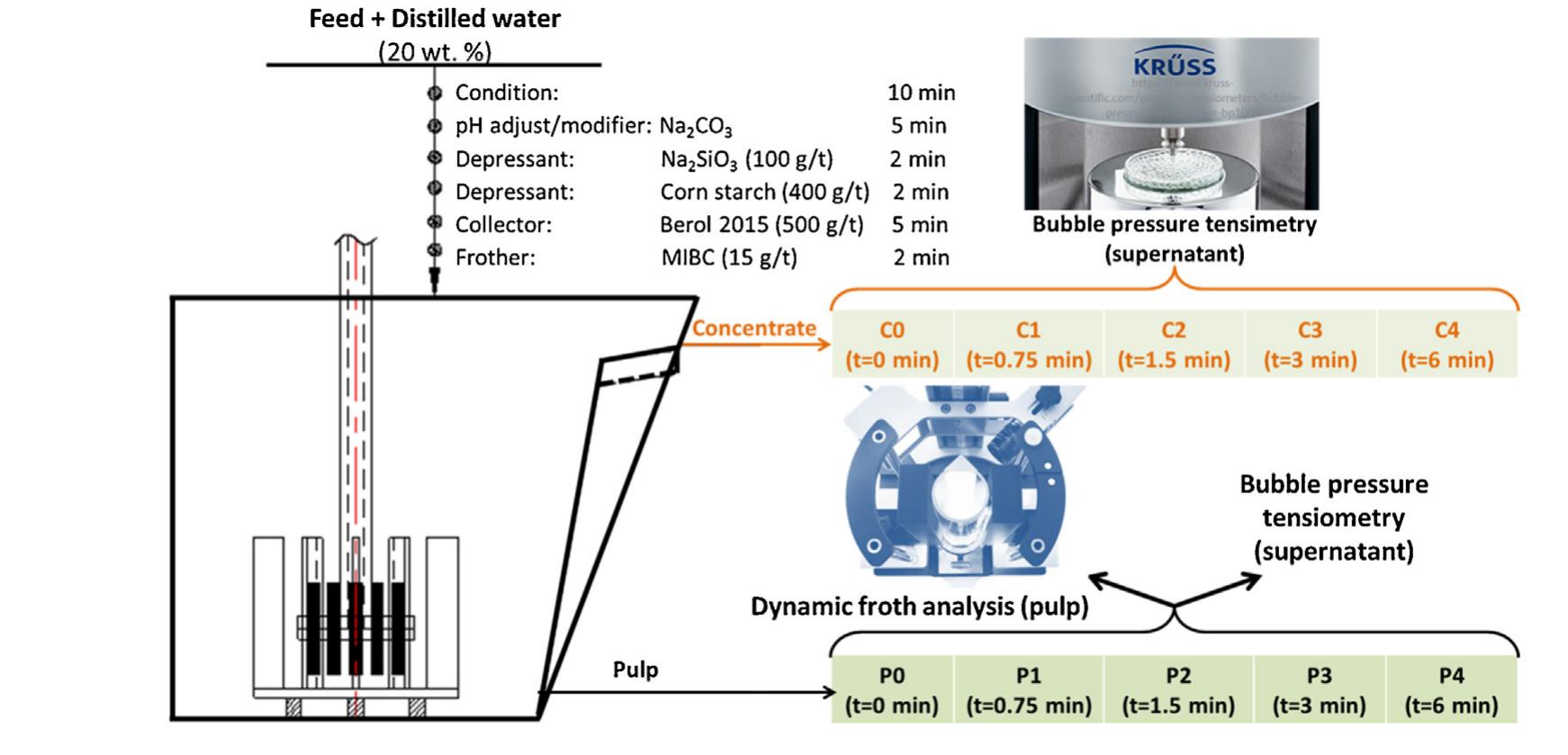 - a scheme of flotation and sample preparation procedures.