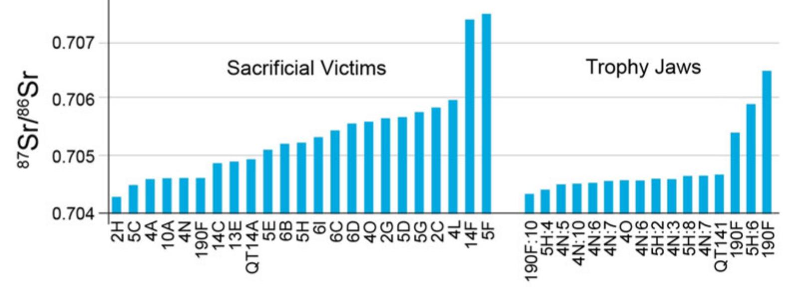 Bar graphs of ranked ®”sr /®*sr values for sacrificial