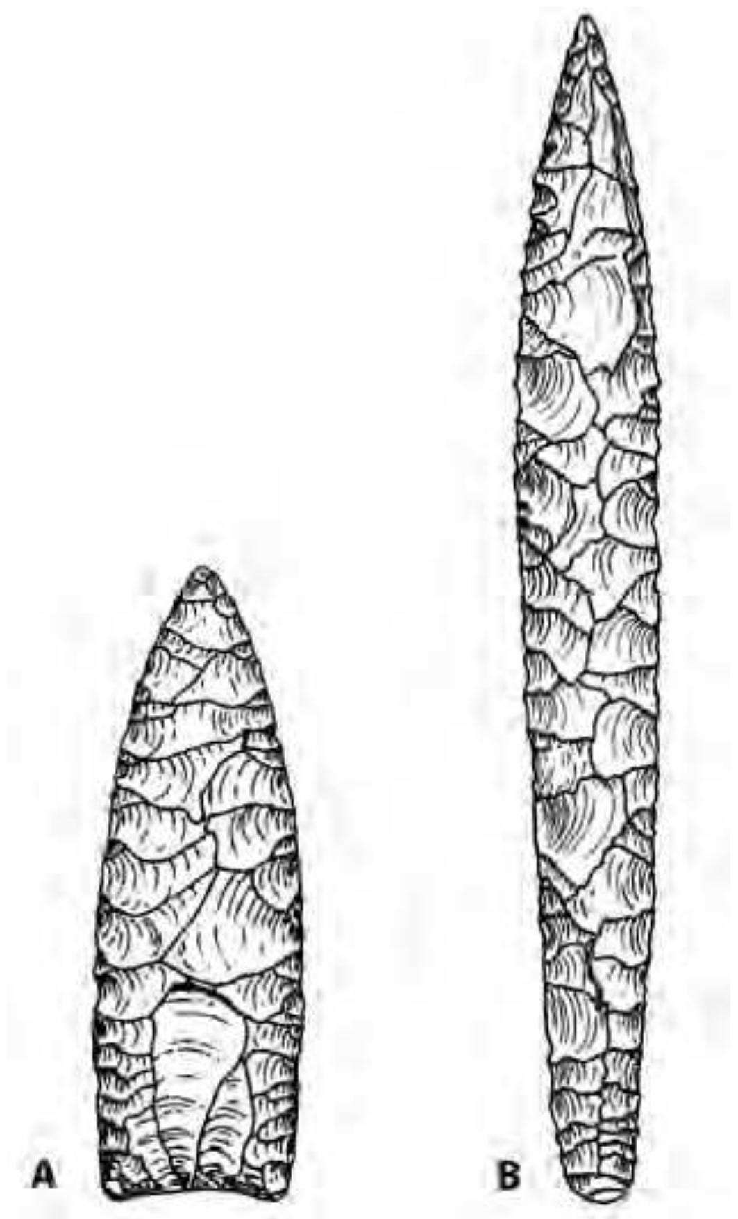 Drawings of clovis (a) and haskett (b) (a western stemme