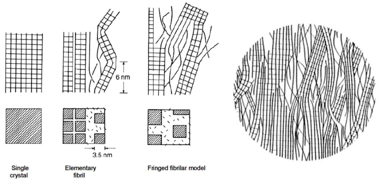 Supramolecular structural models of cellulose microfibrils