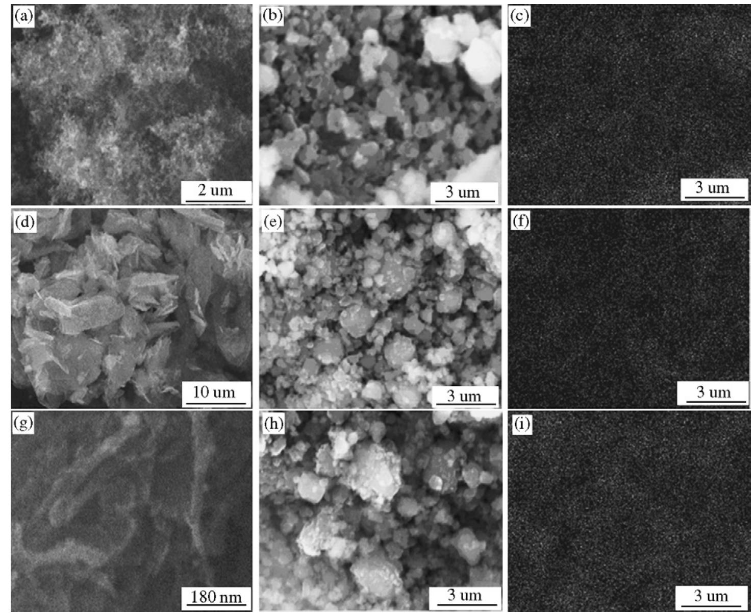 Sem images of carbon allotropes and as-prepared composites