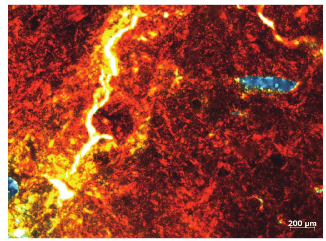 Ficure 8: photomicrograph of bulla b.191190, ferruginous