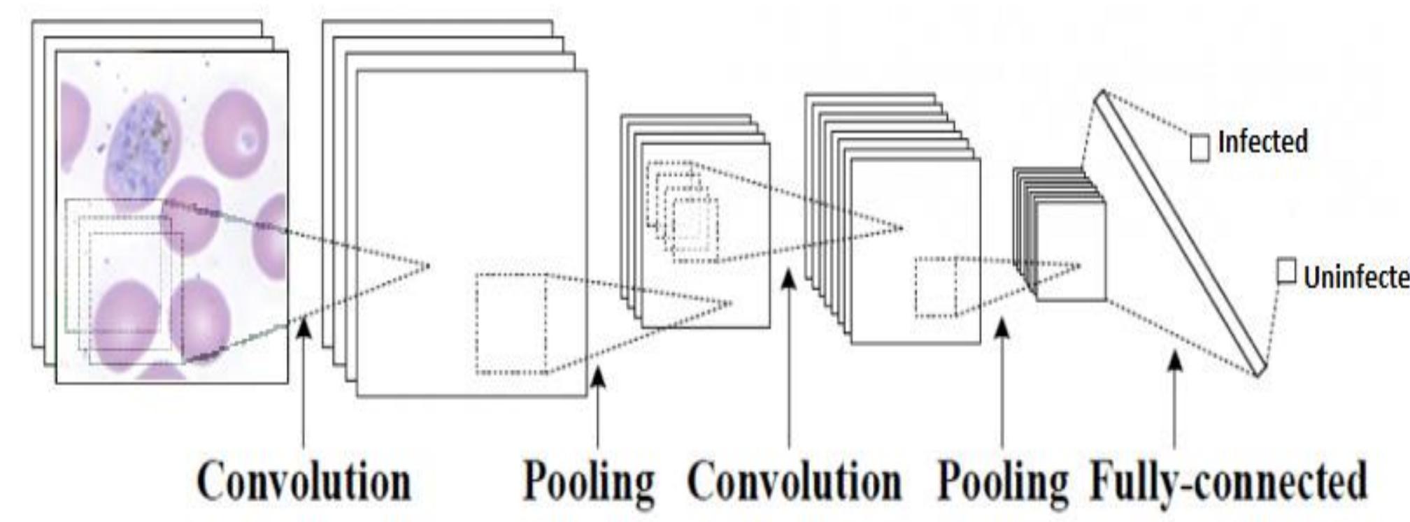 5 architecture of the convolutional neural network