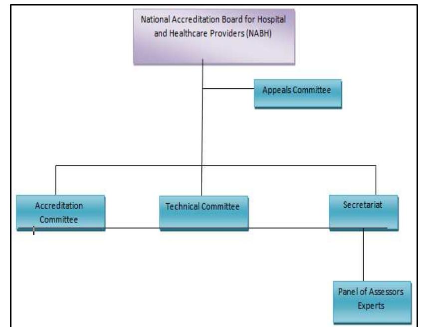 Organisation structure of nabh