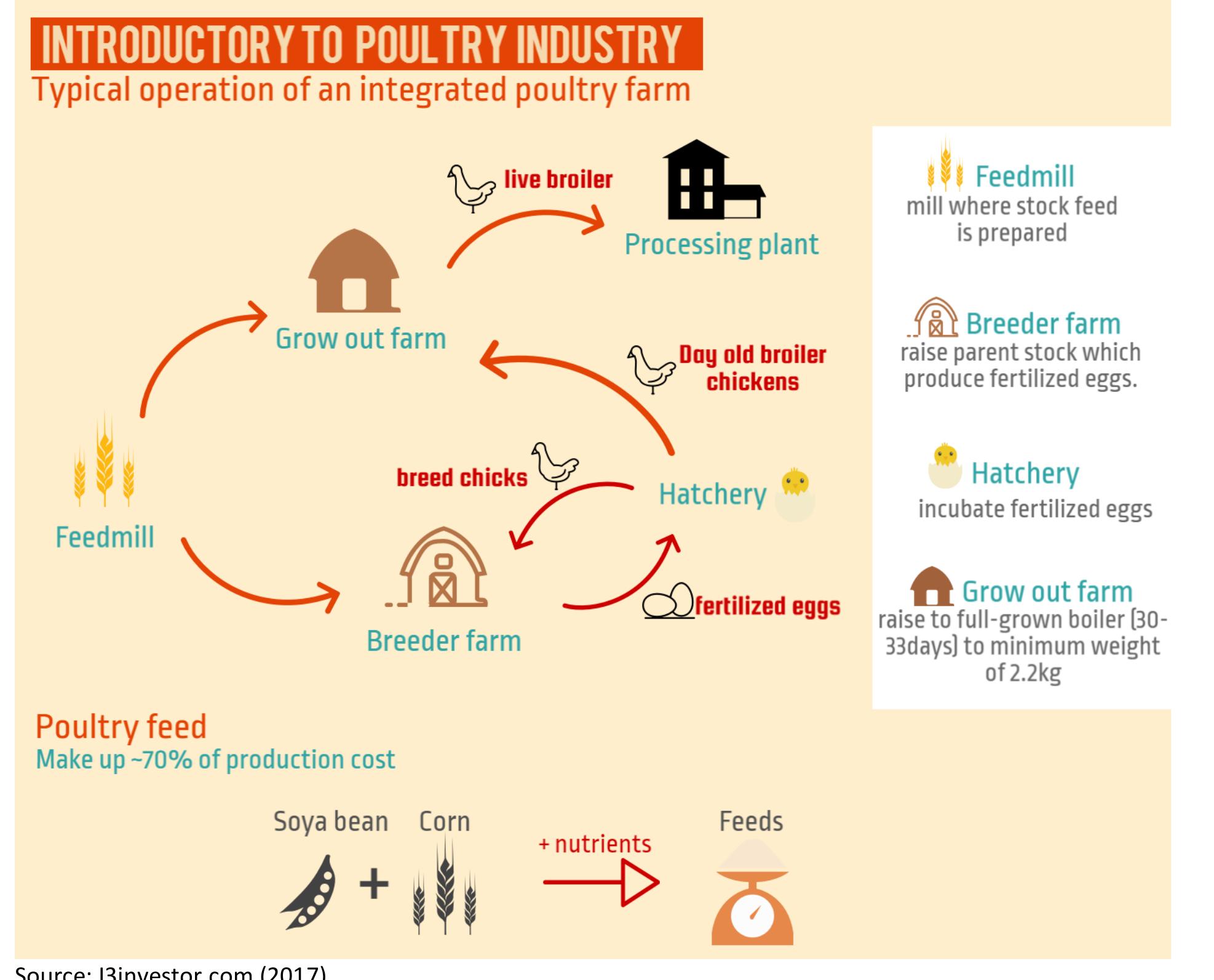 The poultry production process at a glance. the following