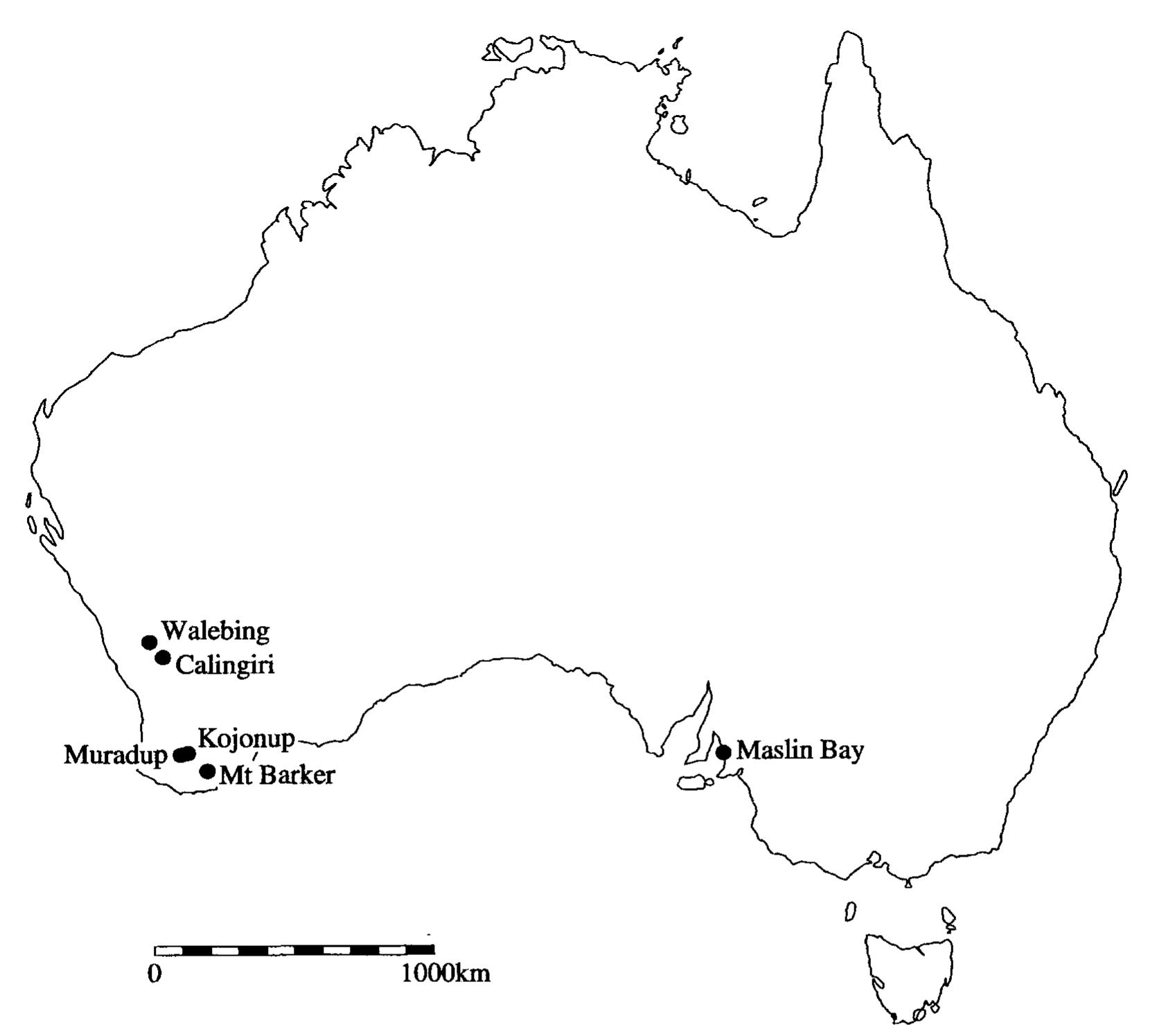 Map of australia showing the fossil localities referred to
