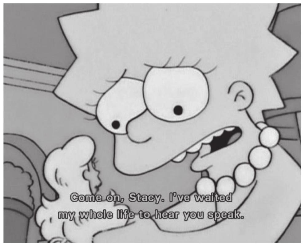 One segment of a subtitled sequence from the simpsons on the