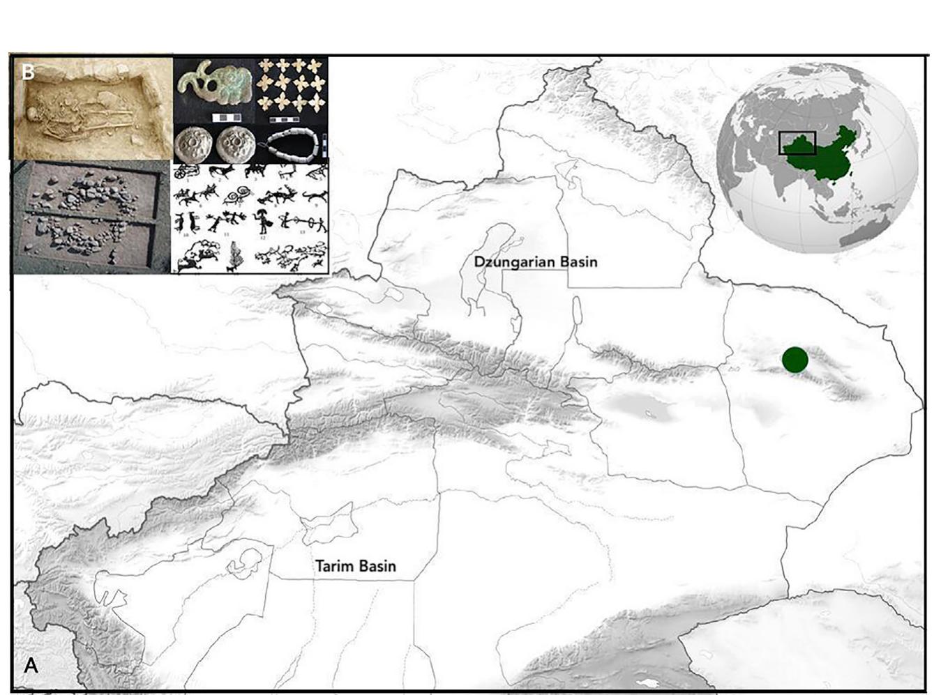 To northeast substructure genetically [6]. the paternal