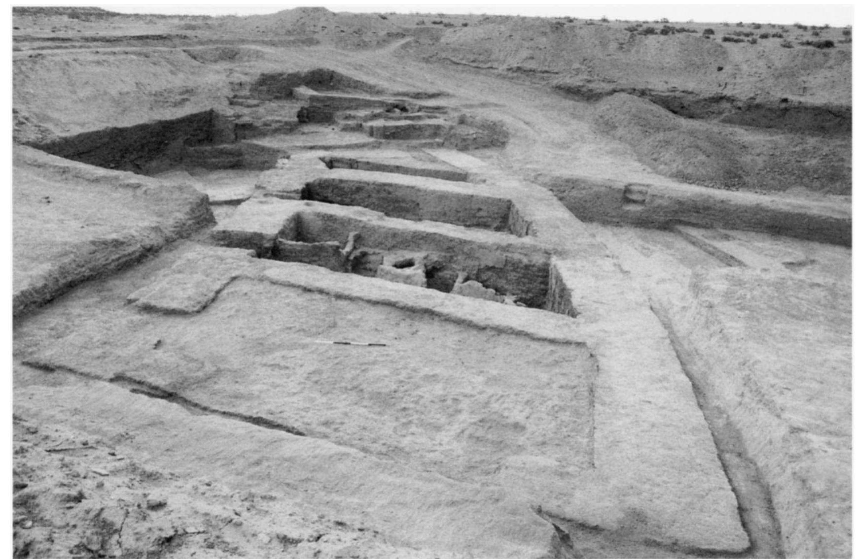 Tc building curved exterior wall, from the south-west; scale