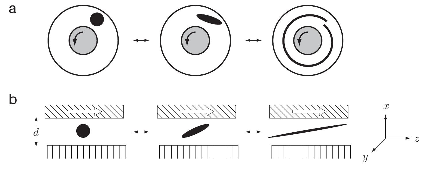 2: (schematics.) shearing motion of a fluid in laminar flow,