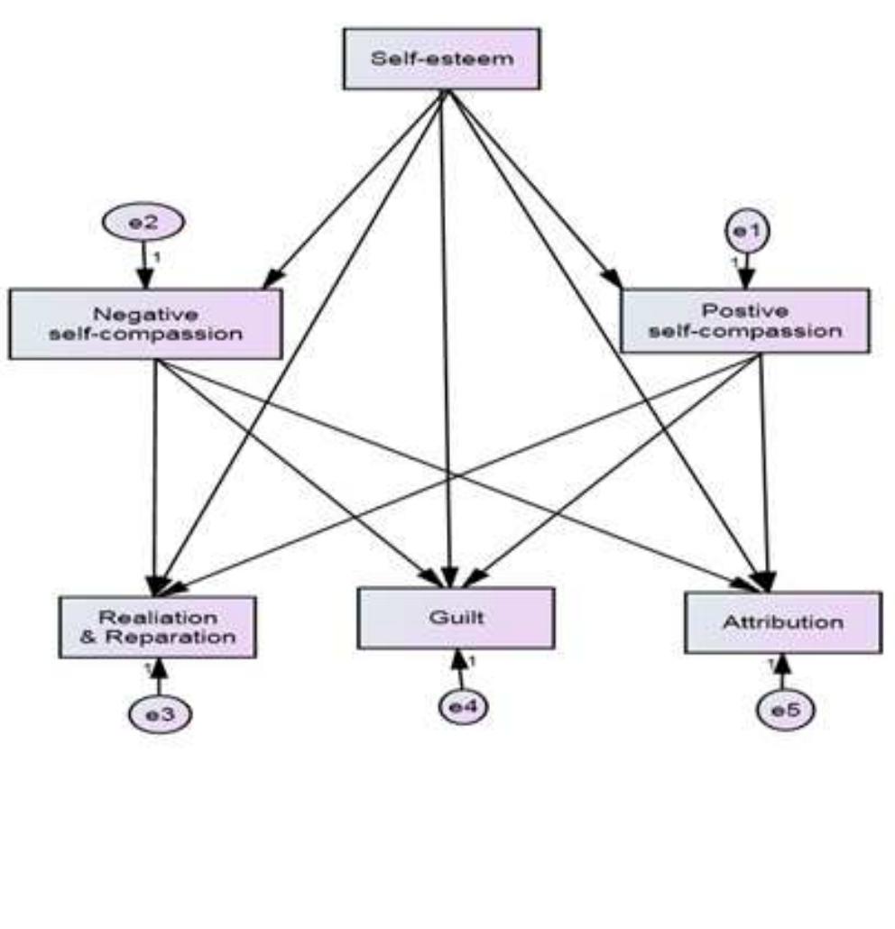 Figure 1 (base model): a path model taking positive and